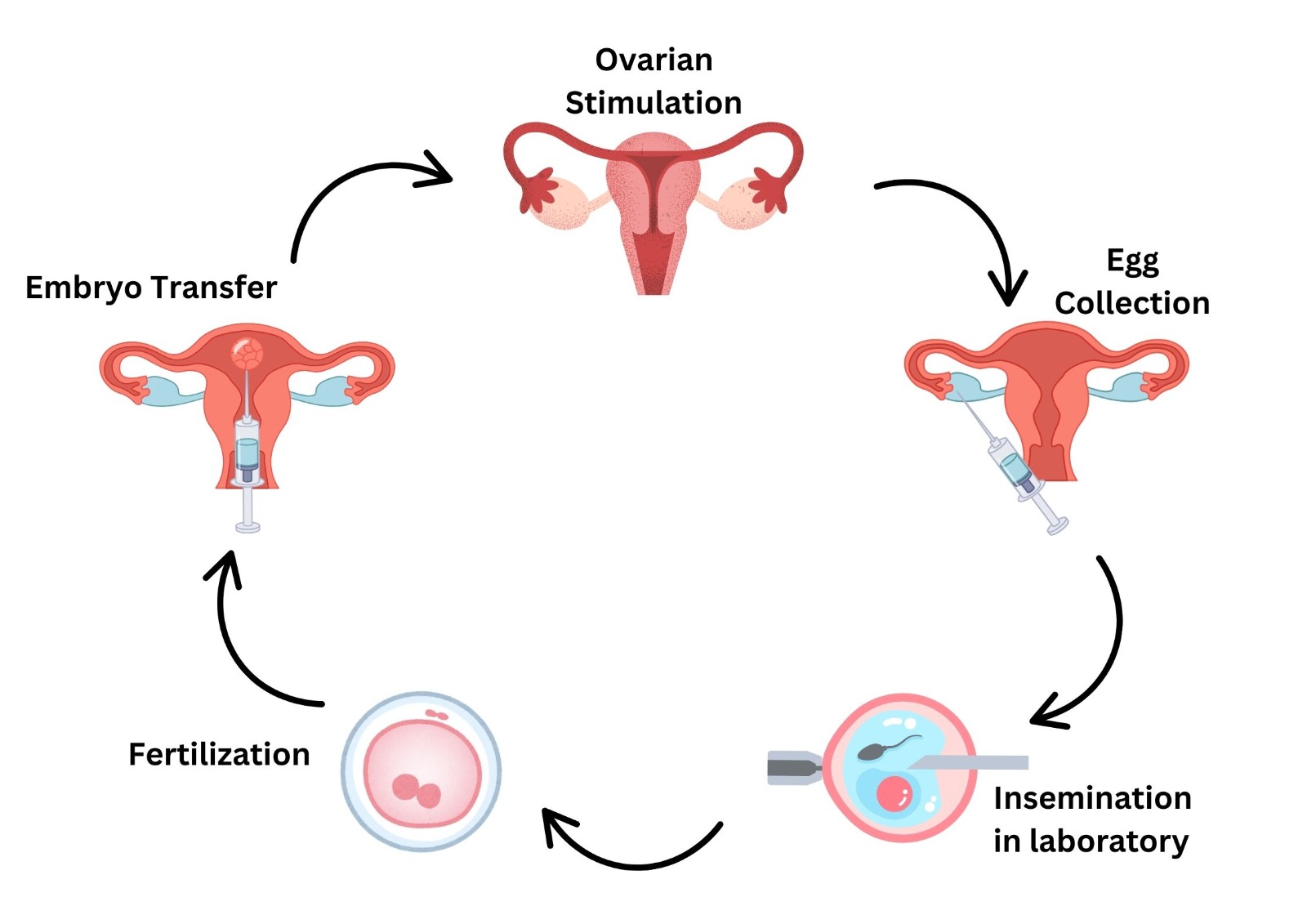 IVF Treatment - Dr Hit Cyprus IVF Treatment